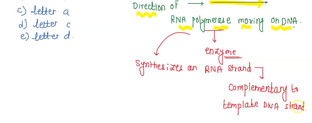 SOLVED: The figure below illustrates the Christmas-tree-like structure ...