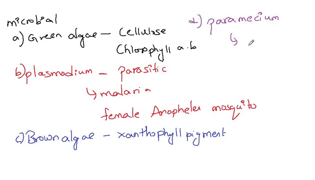 SOLVED: How will understanding the respiratory system help when completing coding and billing ...