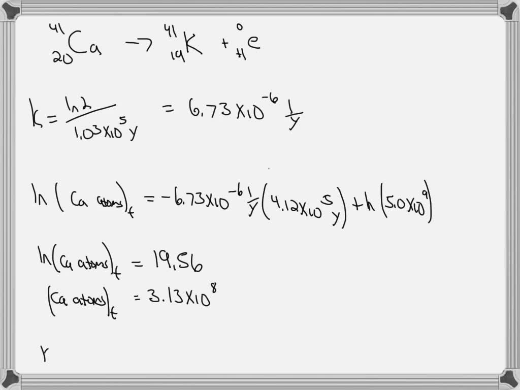 SOLVED: The isotope calcium-41 decays into potassium-41, with a half ...