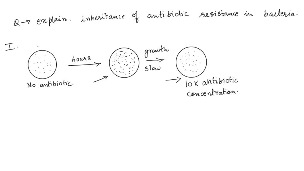 SOLVED: The Microbial Evolution and Growth Arena (MEGA) plate was ...