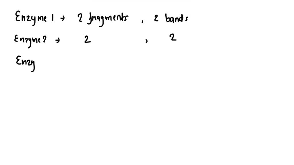 Solved Lab Exercise 15 6000 100 5100 1500 6000 Dp 4000 2000 3000 10 Based On The Restriction 