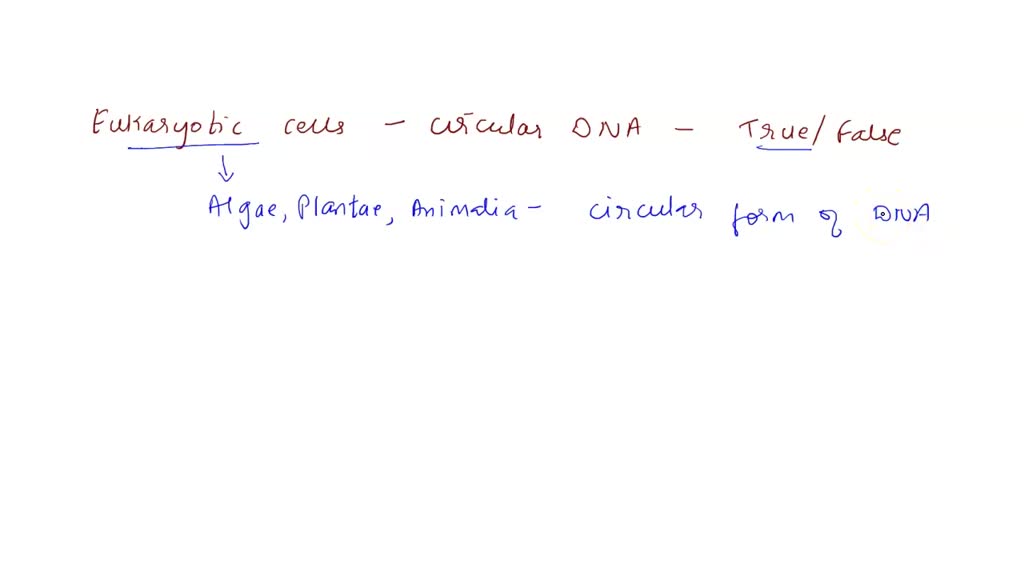 Solved Evidence Exists Especially In Dinoflagellates That Mitosis Evolved From Binary Fission 
