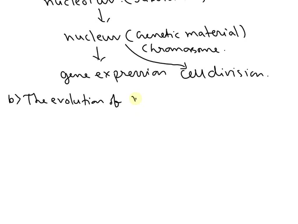 SOLVED: Create labeled sketches to illustrate (a) the formation of the ...