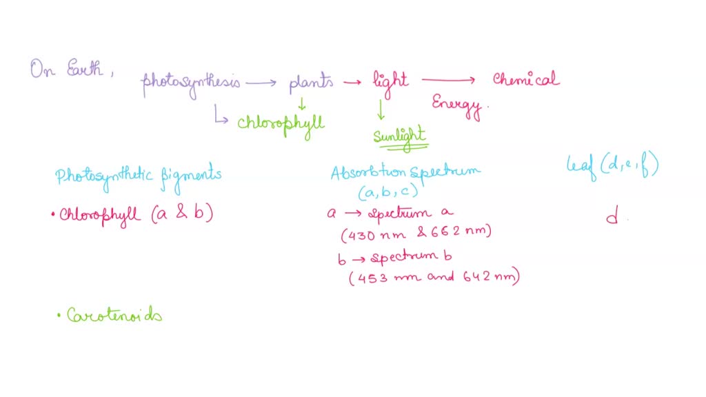 SOLVED: Table 7.1 Photosynthetic pigments, their absorption spectra ...