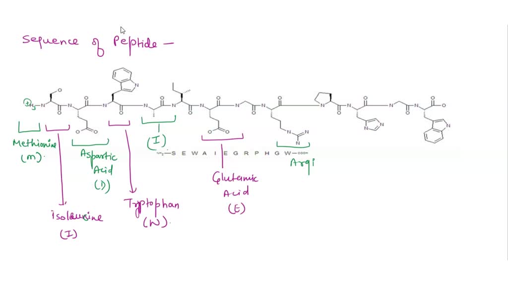SOLVED: Part A: Input the sequence of the above peptide using only the one letter codes. DO NOT ...