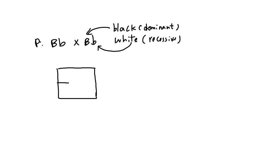 SOLVED: Two black mice are crossed. They have 10 black offspring and 3 ...