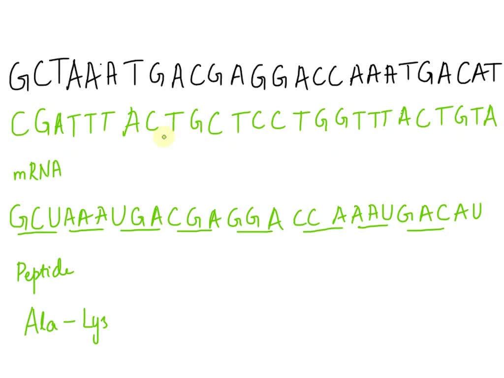 SOLVED: Below is the sequence of strands of DNA given. Generate the ...