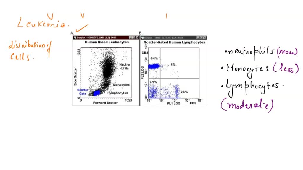 SOLVED: The images presented above were obtained in a live/dead cell ...