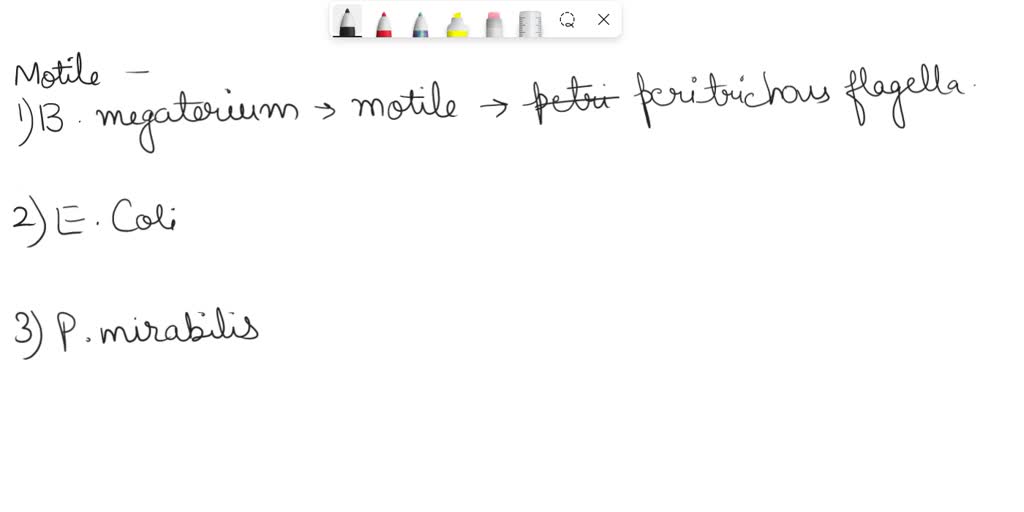 SOLVED: Which of the bacteria investigated in this experiment are ...