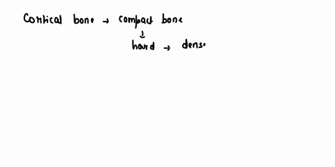 B. Cortical bone- so cold is compact bone is the hard layer...