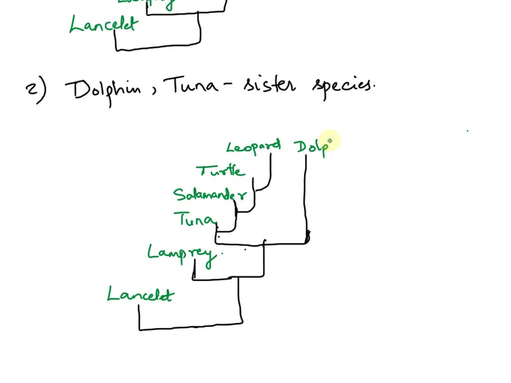 SOLVED: Part 1: Draw It Up Draw a phylogenetic tree based on characters 1-5 in the table below ...