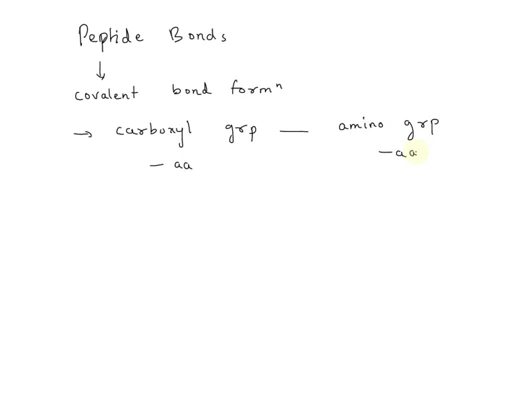 SOLVED: Question 3 of 17: Identify the features of the two bonded amino ...