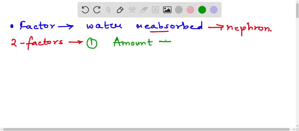 SOLVED: The countercurrent multiplier allows for a hypertonic ...