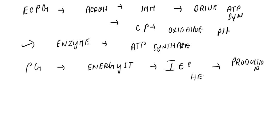 SOLVED: What are the consequences of a proton gradient and how could a gradient be used in the ...