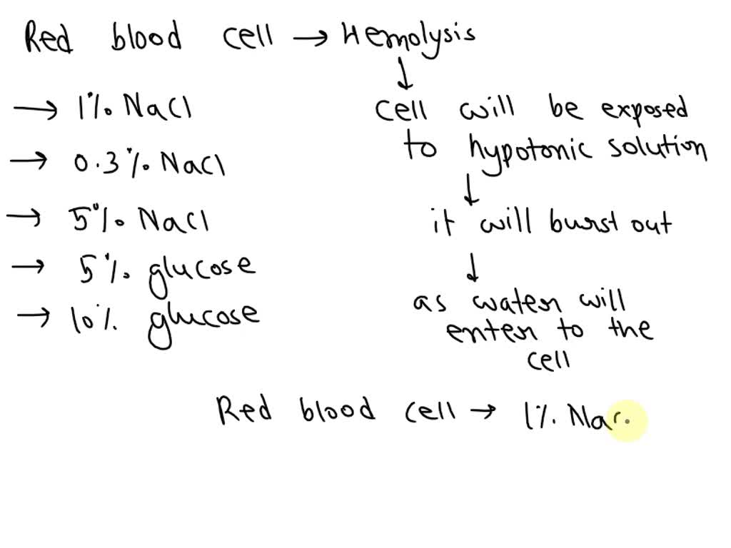 SOLVED: Red blood cells will undergo hemolysis in which solution? 1. 0. ...