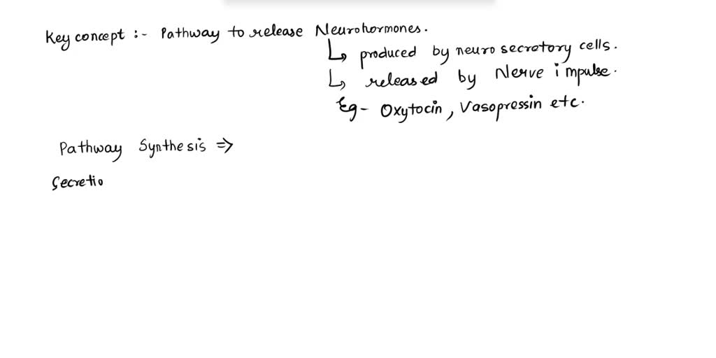 The pathway to the release of neurohormones follows a series of steps ...