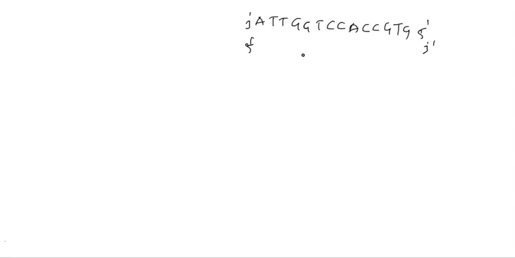 SOLVED: 1. Below is one strand of DNA, construct the complementary ...