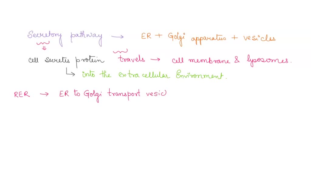 SOLVED: . Using diagrams and examples to illustrate your answer, give ...