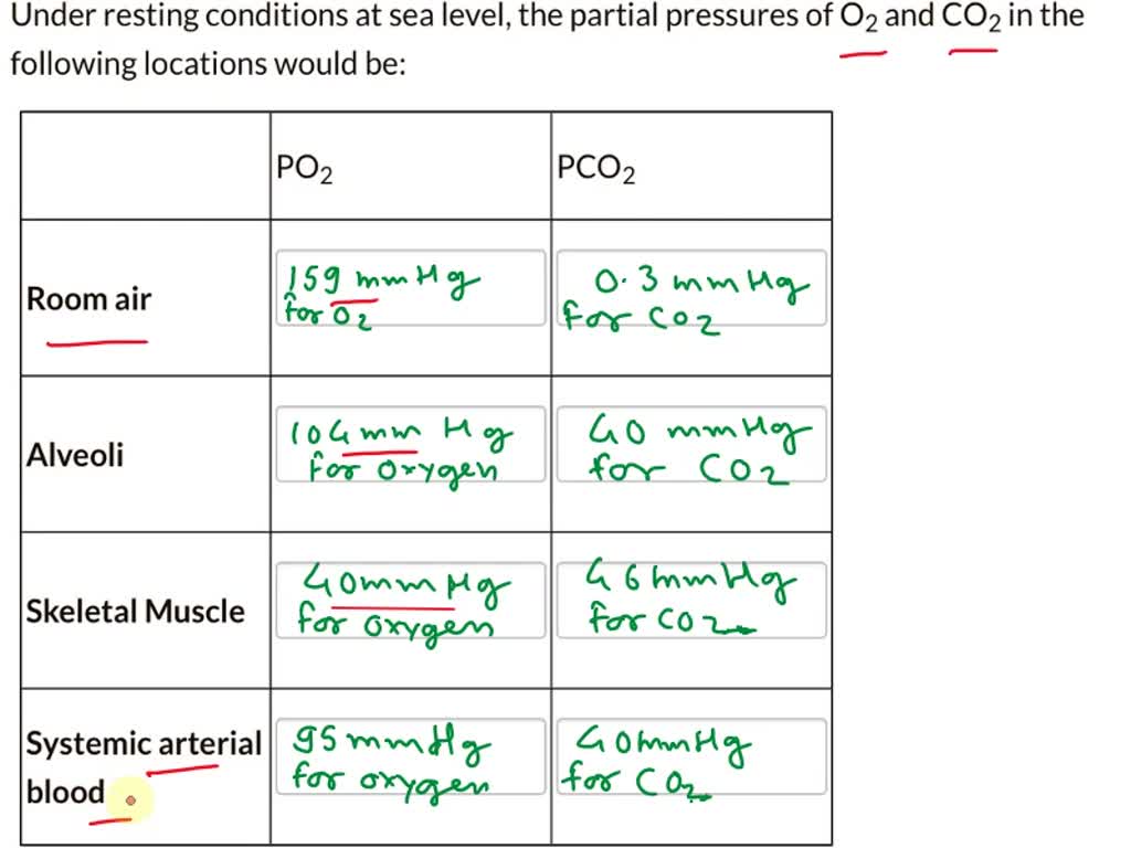 SOLVED: Under resting conditions at sea level, the partial pressures of O2 and CO2 in the ...