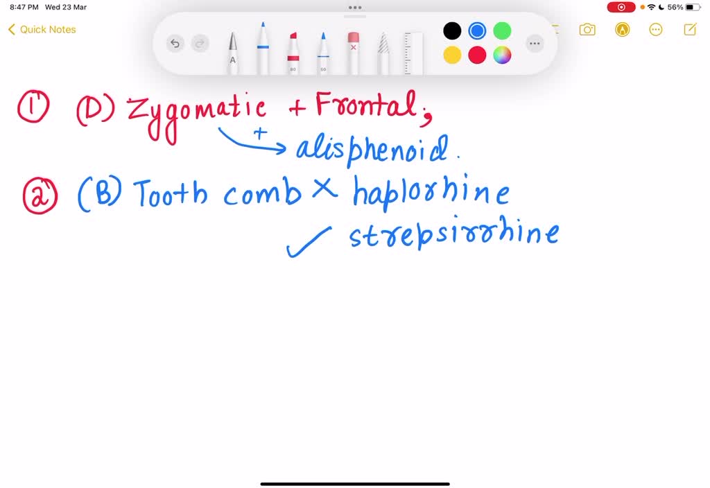SOLVED: Skulls B, C, D, E, and F are primates: Which character state do ...