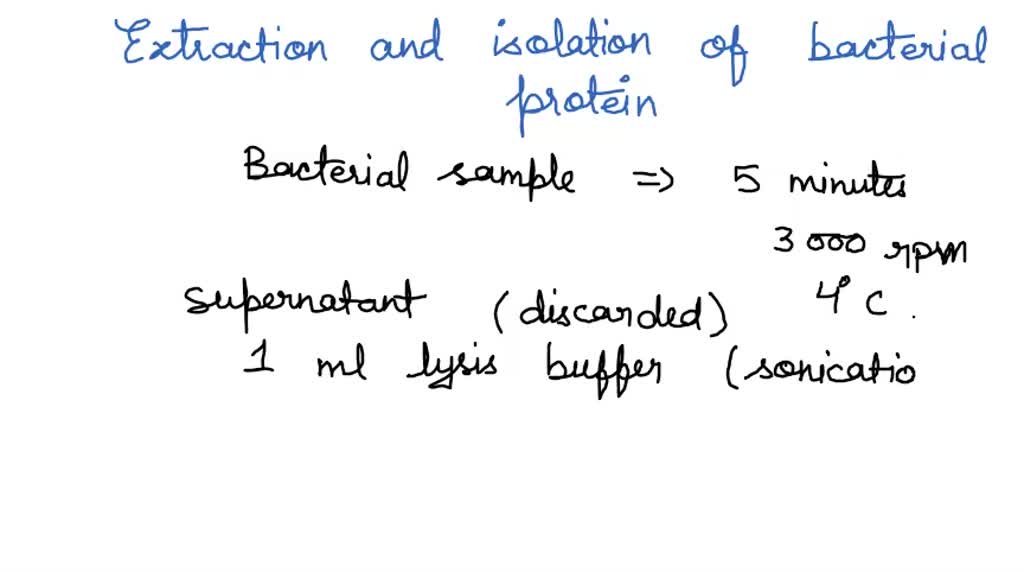SOLVED: Extraction and isolation of bacterial proteins: Centrifuge the ...