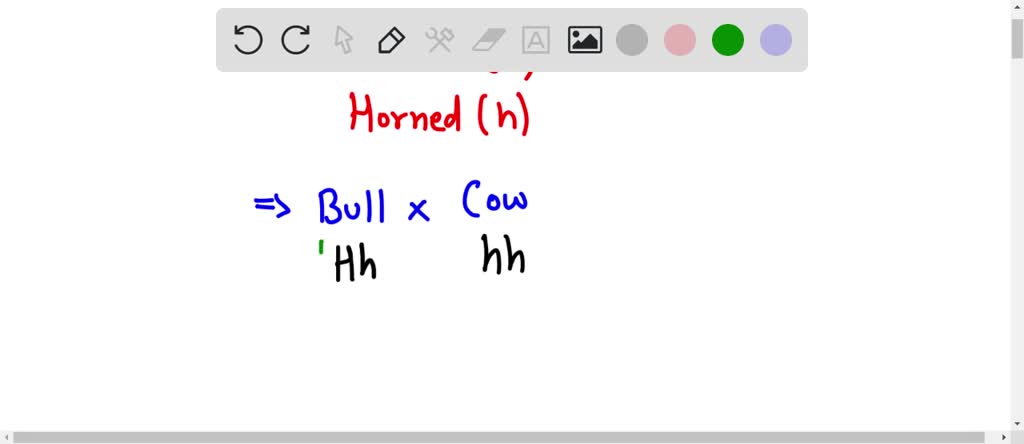 SOLVED: In a cattle the hornless condition (H) is dominant and the ...