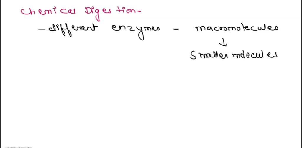 SOLVED: Watch the following videos from Crash Course by John Green and ...