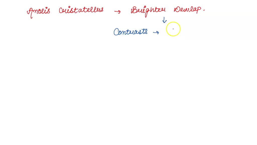 SOLVED: Which anole species seems to have a brighter dewlap? (Remember ...