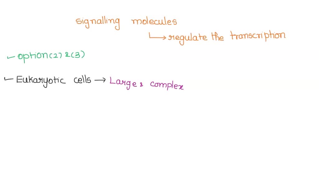 SOLVED: As a flowchart, draw and identify the PAMP, PRR that recognizes ...
