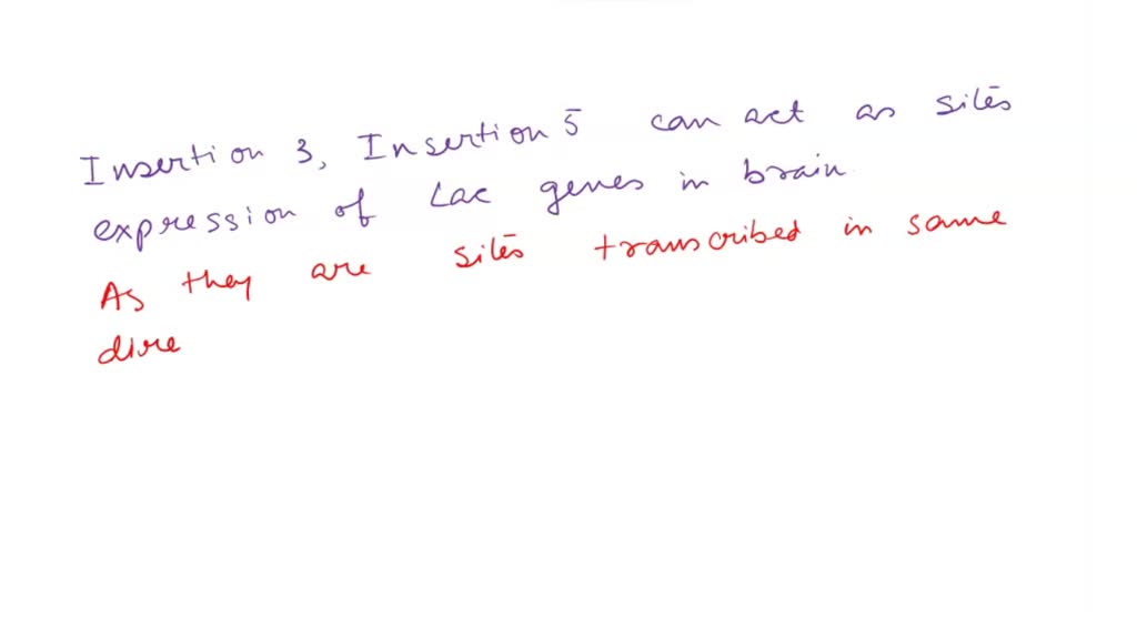 SOLVED: LacZ enhancer trap" transposon and insertion of transposon Insulator Enhancer Gene X ...