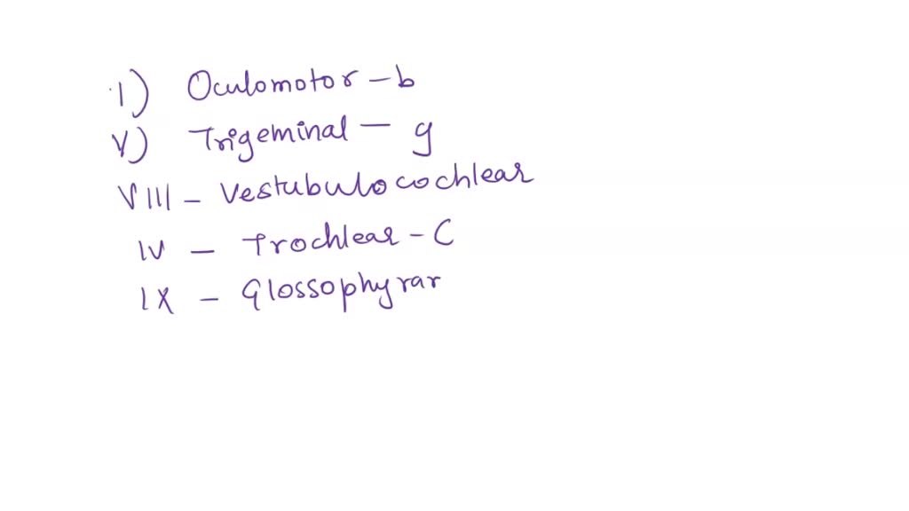 SOLVED: 1. The Roman numeral assigned to each cranial nerve reflect a) the sequence from ...