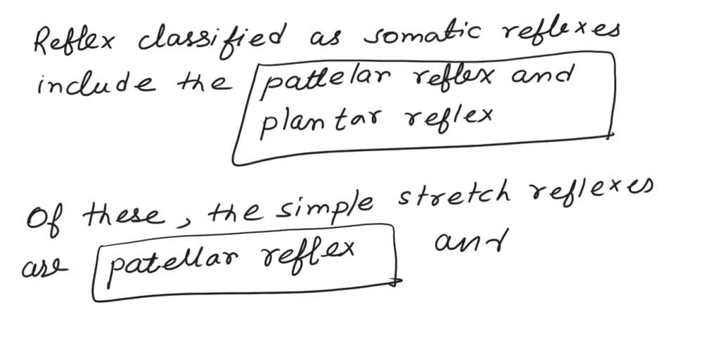 SOLVED: Which of the following is an example of a somatic deep tendon ...