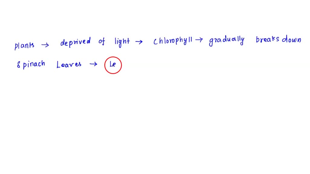 1. How do you think the results would differ if you had used spinach ...