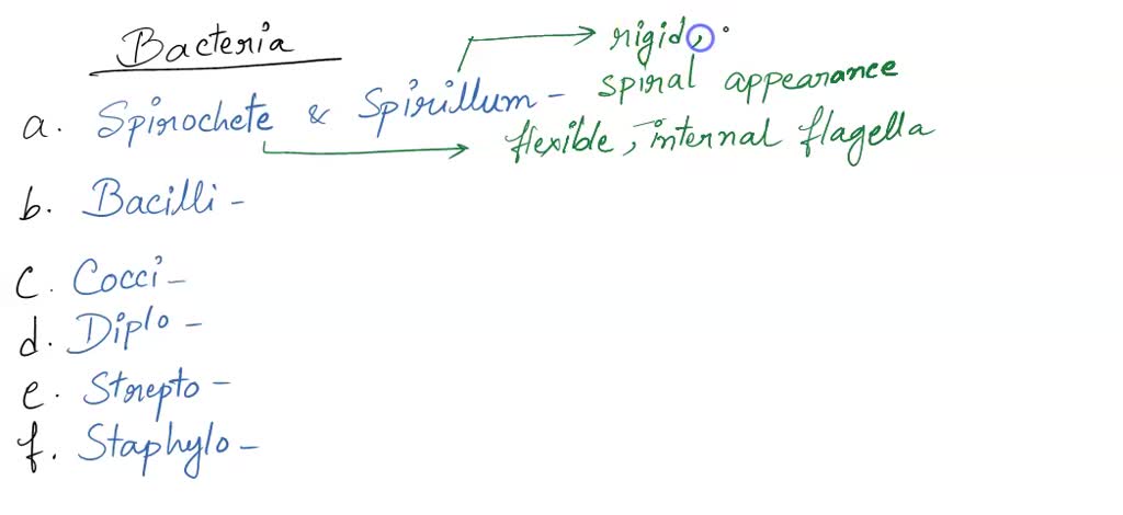 SOLVED: Define the bacterial shape and arrangements below are Gram ...