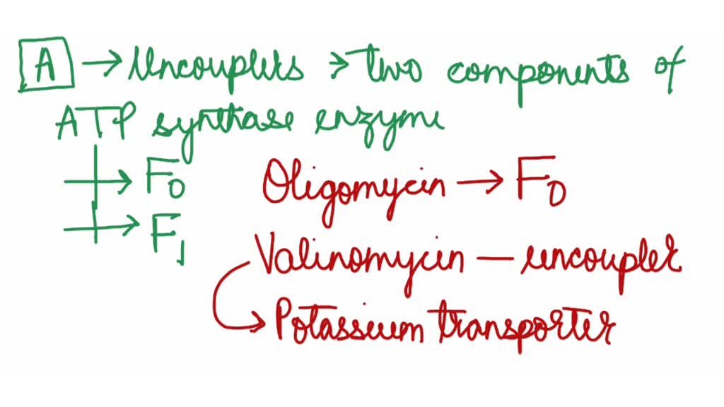 SOLVED: QUESTION 21: Which of the following uncouplers of oxidative ...