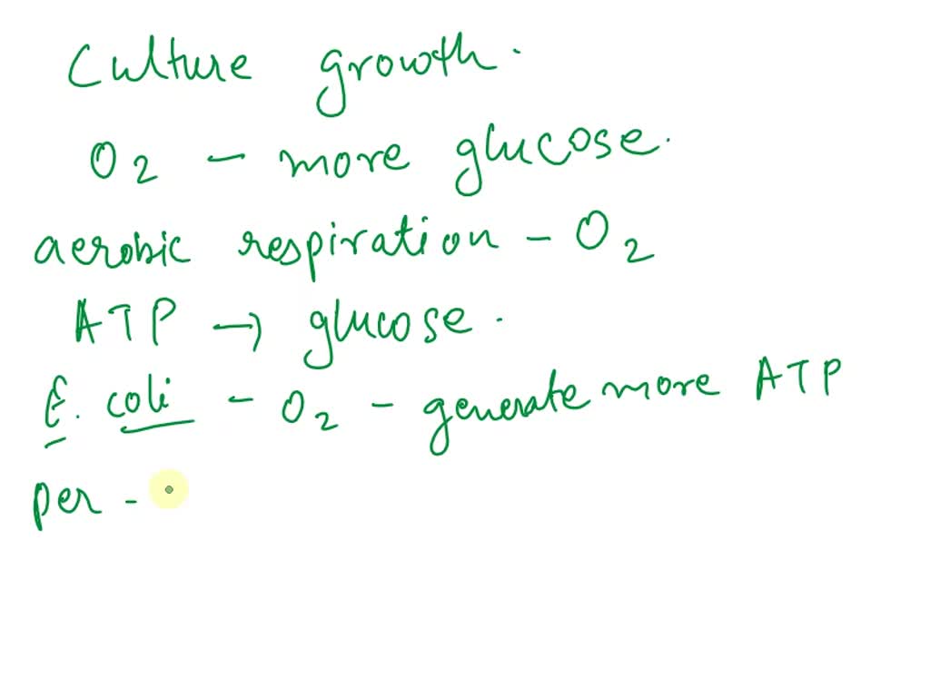 Solved Escherichia Coli Is A Facultative Anaerobe Imagine That Two Cultures Of E Coli Have