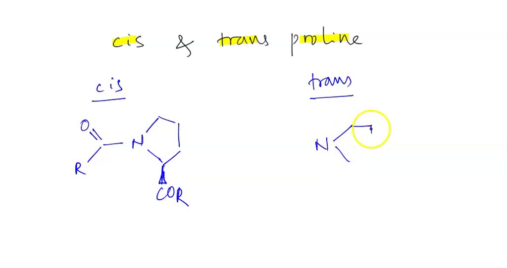 SOLVED: Proline is the only naturally occurring amino acids that can ...