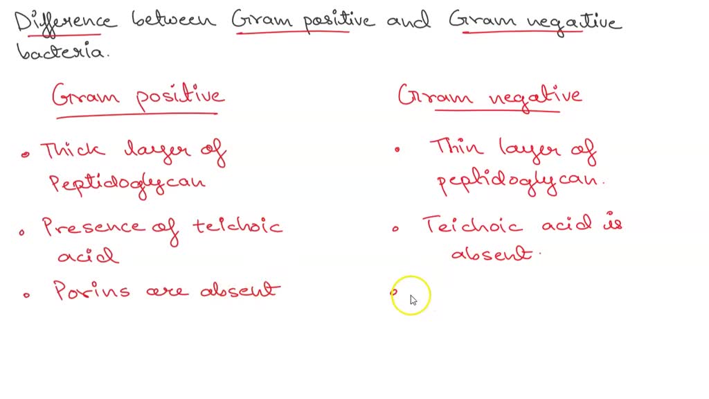 SOLVED: list two differences between gram positive gram negative ... SOLVED: list two differences between gram positive gram negative ...