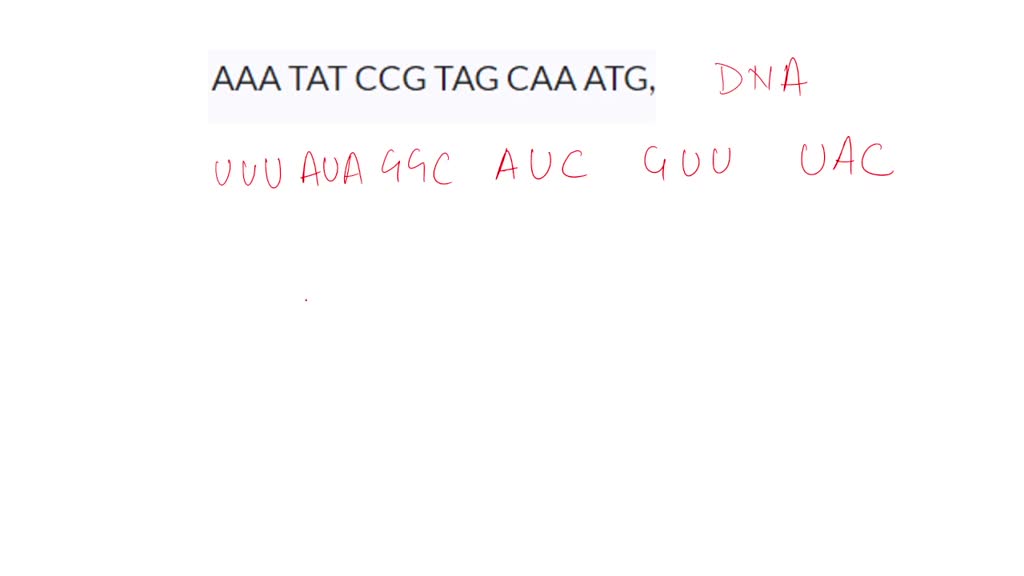 SOLVED: If the DNA sequence is — AAA TAT CCG TAG CAA ATG, write the ...