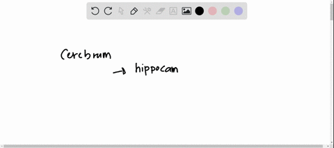 CNS and the Structures That Protect It Label the structures of the ...