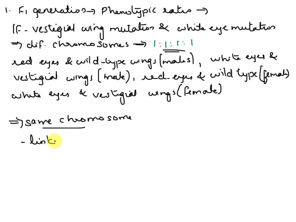 SOLVED: Vestigial wing is a recessive autosomal mutation in the fruit ...