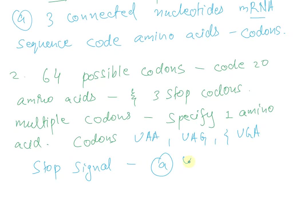 SOLVED: 1) genetic code a) 3 connected Nucleotides in an mRNA sequence ...