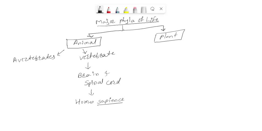 SOLVED: Identify the major phyla of life with an emphasis on plants and ...