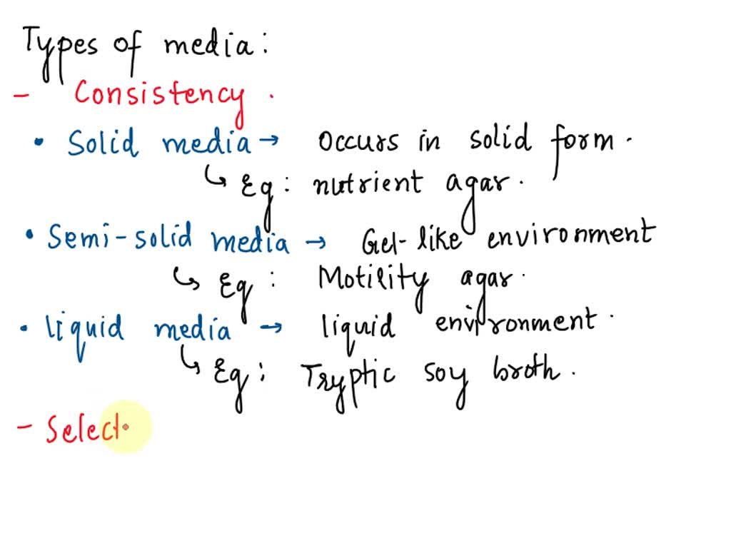 SOLVED: Name the different types of Media used in microbiology and ...