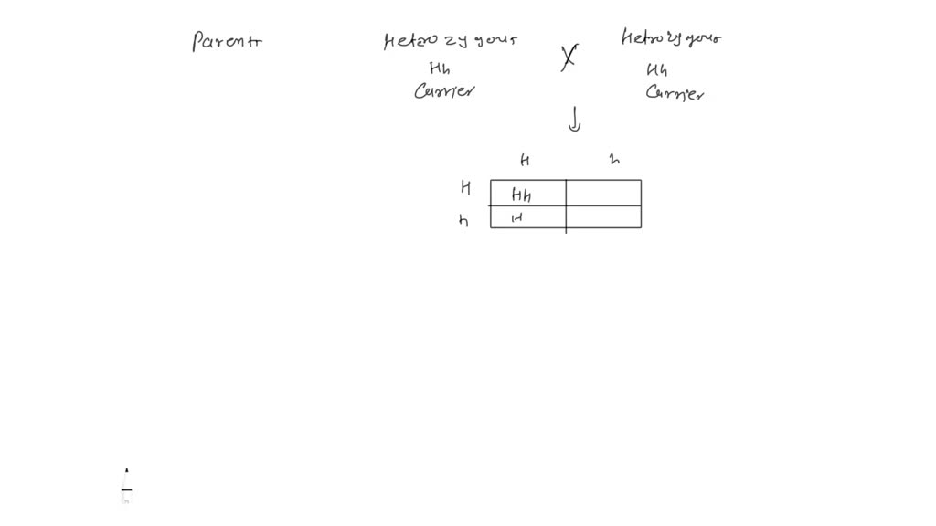 SOLVED: If a carrier female (XHXh) marries a normal man (XHY), what is ...