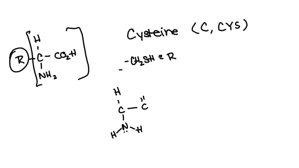SOLVED: Draw a complete Lewis structure of Cysteine. Display all valence electrons, all atoms ...