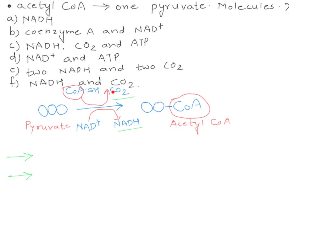 SOLVED: During the formation of a single acetyl CoA from one pyruvate ...