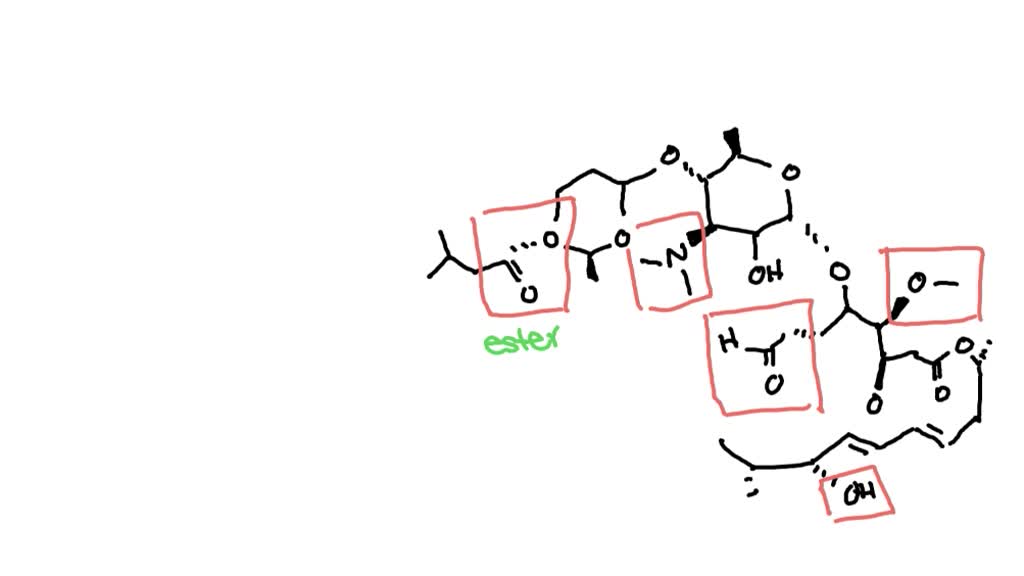 SOLVED: Josamycin is a macrolide antibiotic produced by the bacteria ...