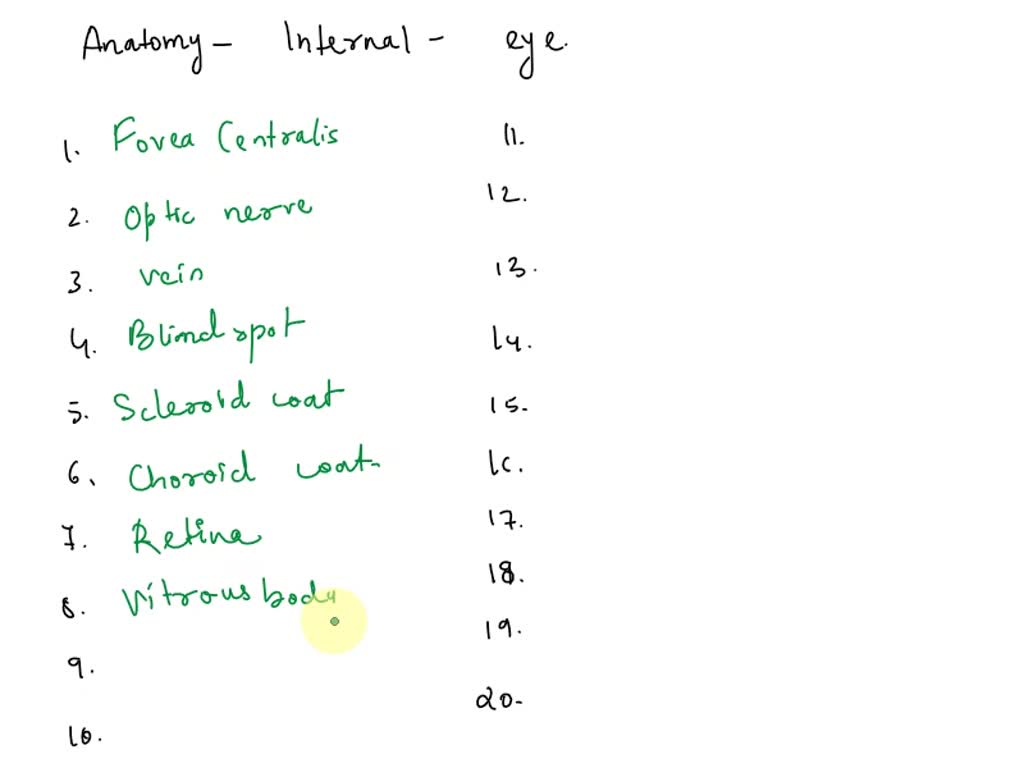 Kimberly, the student surgical technologist, is scrubbed on a carotid ...
