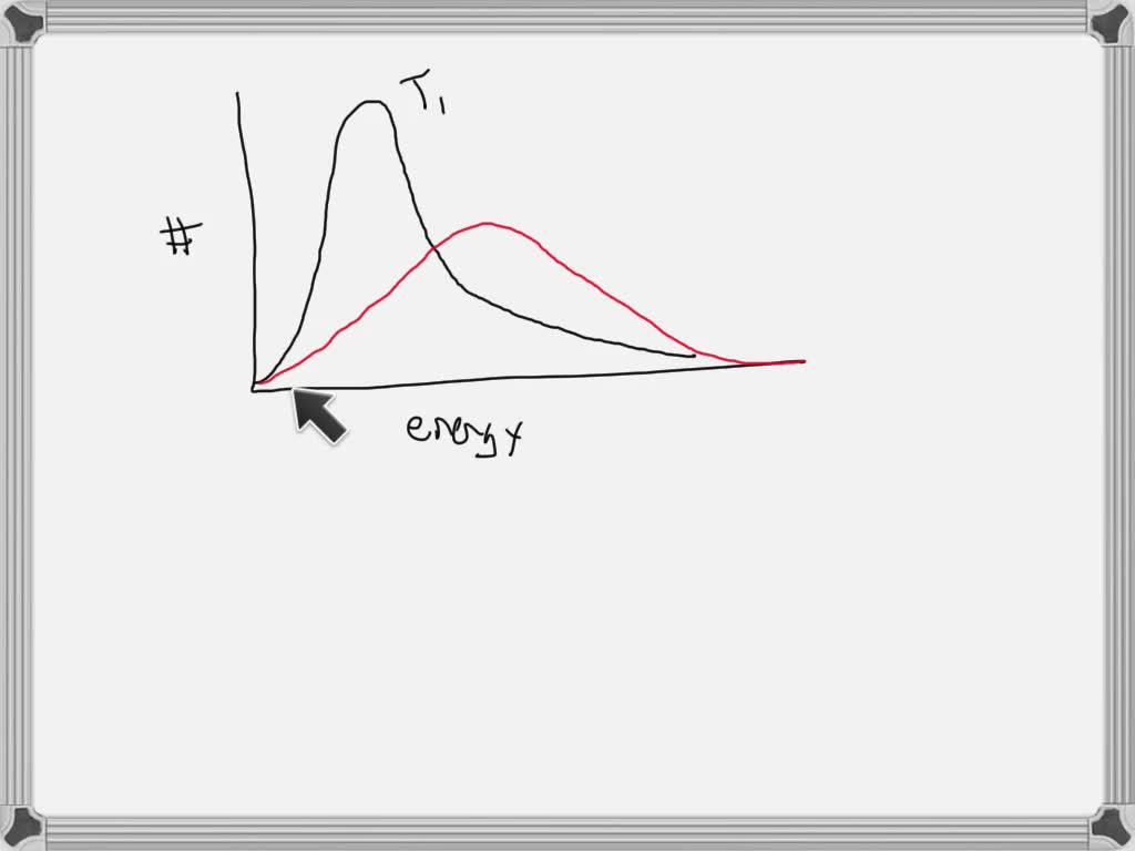 SOLVED: This graph shows the distribution of molecular velocities for ...